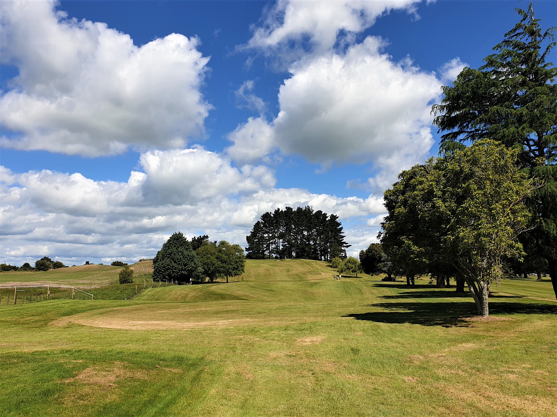 5th tee | A Slice of NZ Golf